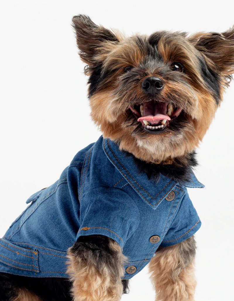 SILVER PAW Dusten Denim Dog Jacket - DENIM | Tillys