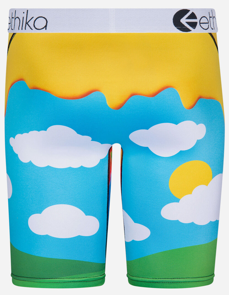 ETHIKA Chuck E Mens Boxer Briefs - MULTI | Tillys