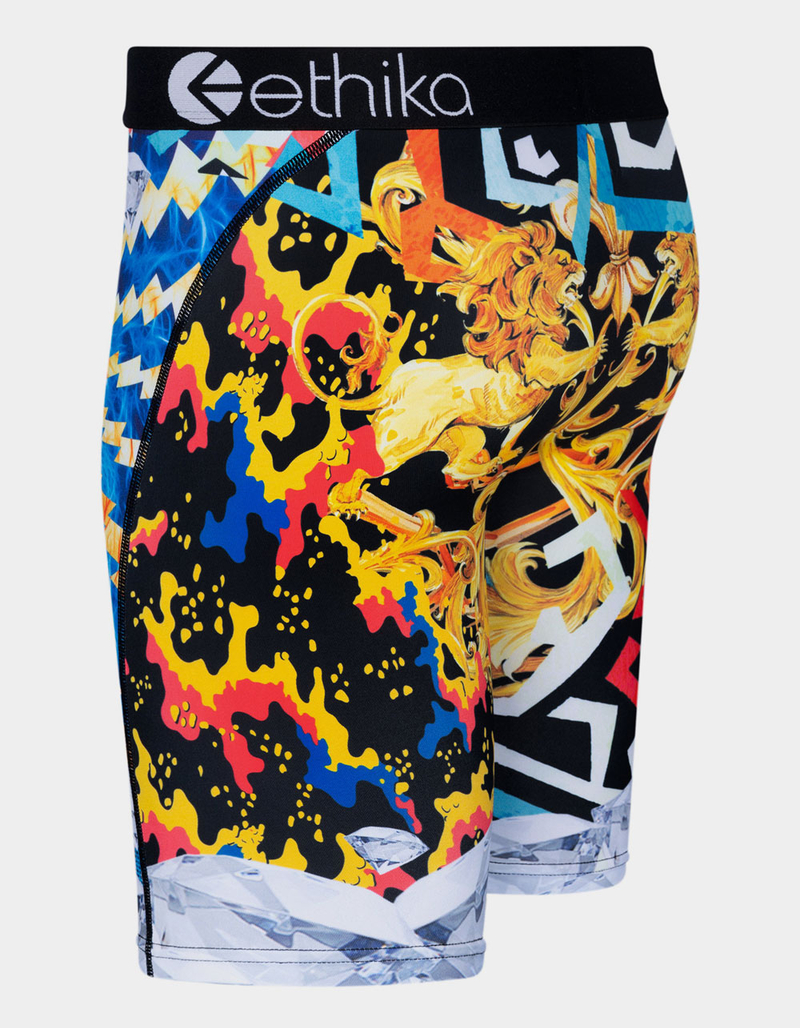 ETHIKA WTE Energie Staple Mens Boxer Briefs - MULTI | Tillys