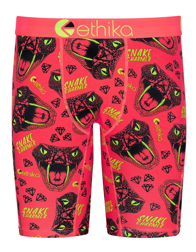 ETHIKA Snake Charmer Boys Boxer Briefs - MULTI - L | Tillys