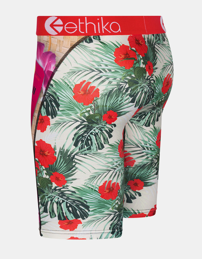 ETHIKA Aloha Boys Boxer Briefs - MULTI - L | Tillys