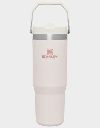 Stanley 30 oz Tumblers | Tillys