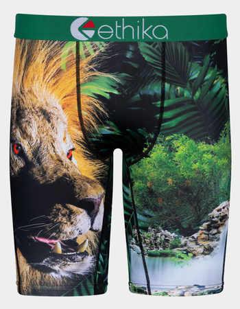 Ethika Boxers & Underwear | Tillys
