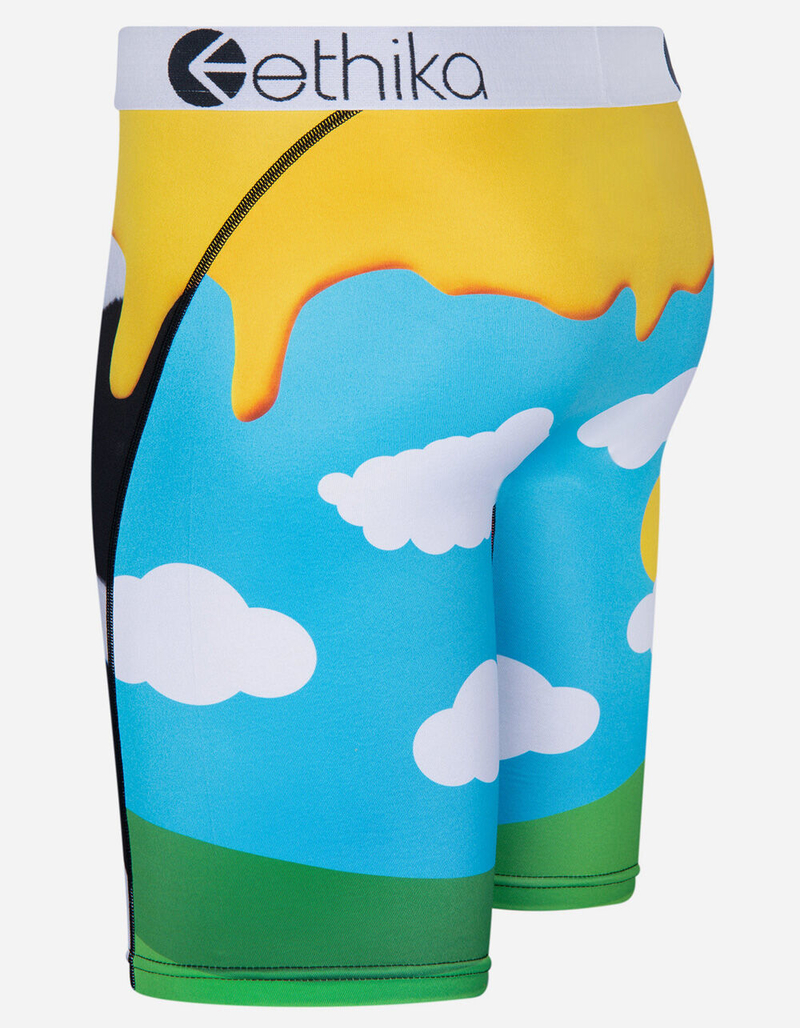 ETHIKA Chuck E Mens Boxer Briefs - MULTI | Tillys