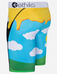 ETHIKA Chuck E Mens Boxer Briefs - MULTI | Tillys