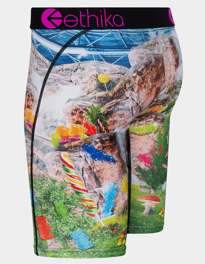 ETHIKA Spiff Bar Mens Boxer Briefs - MULTI | Tillys