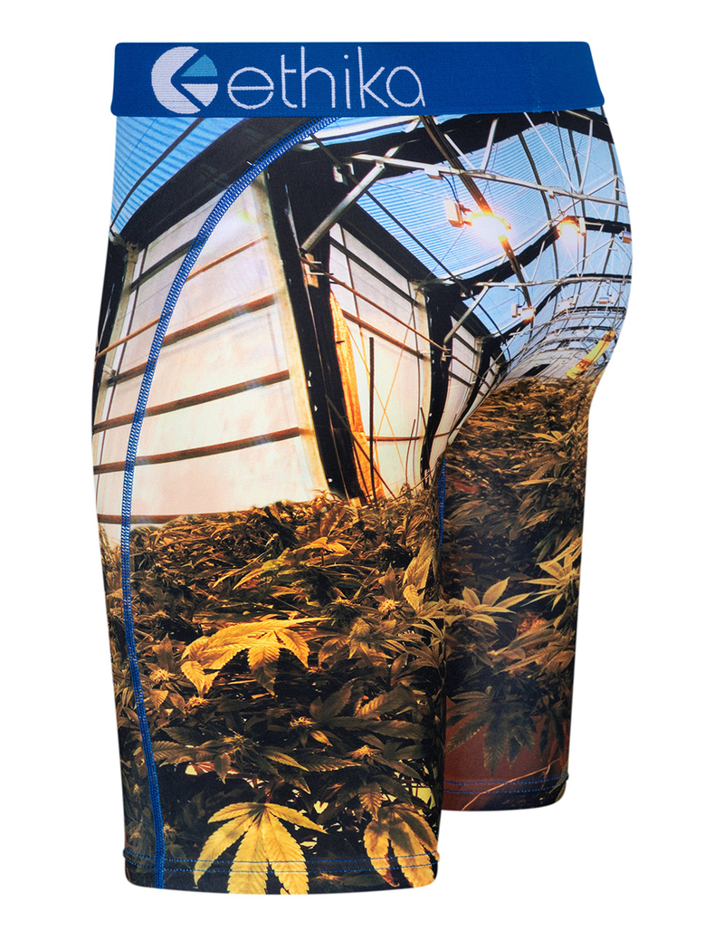 ETHIKA Grow House Staple Mens Boxer Briefs - MULTI - S | Tillys