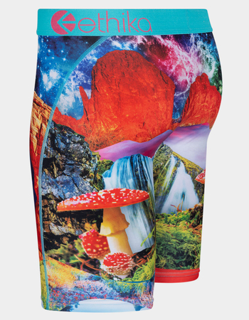 Ethika Boxers & Underwear | Tillys