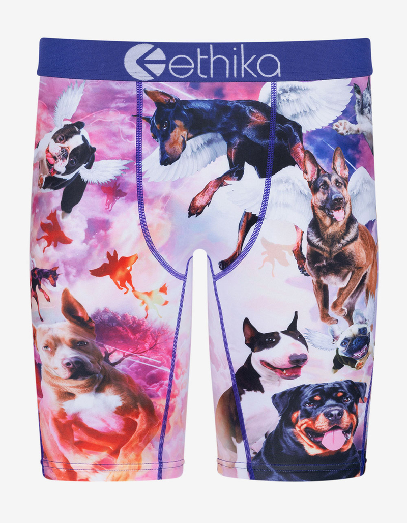 ETHIKA Dog Heaven Staple Boys Boxer Briefs - MULTI - M | Tillys