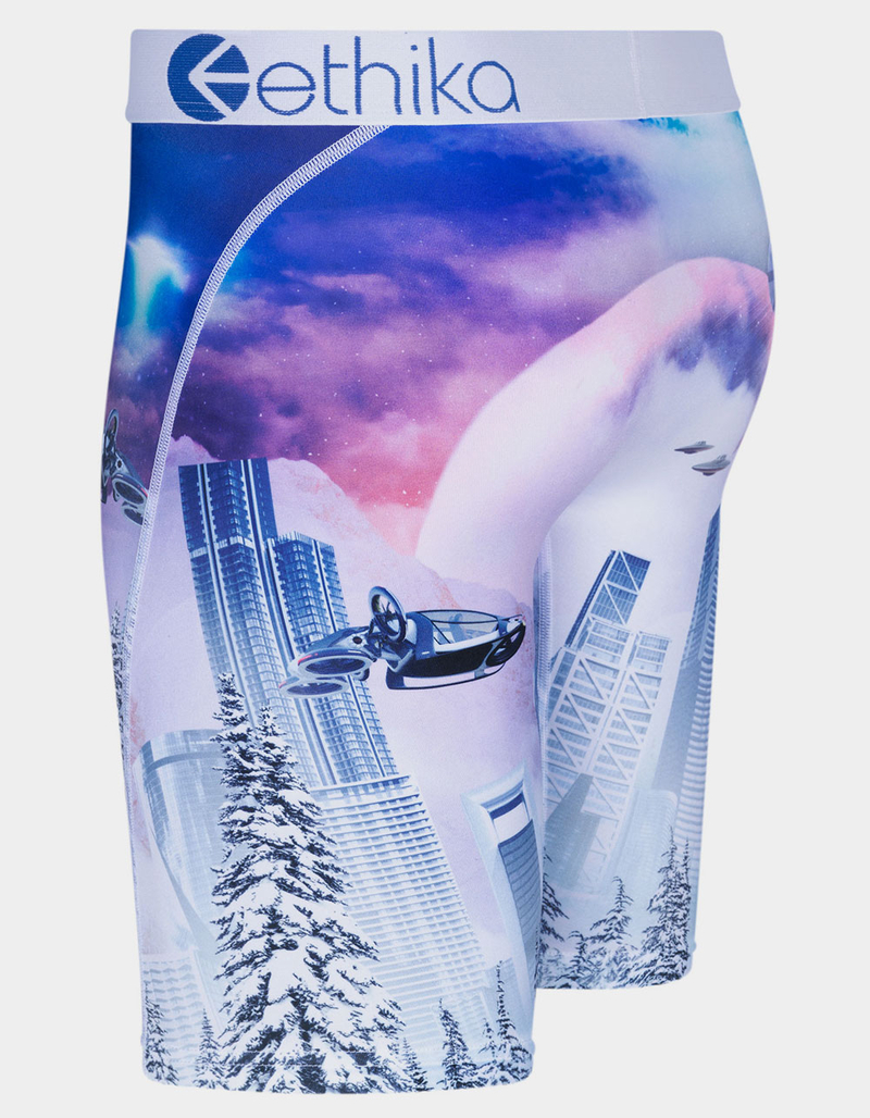 ETHIKA Future Freeze Mens Staple Boxer Briefs - MULTI | Tillys
