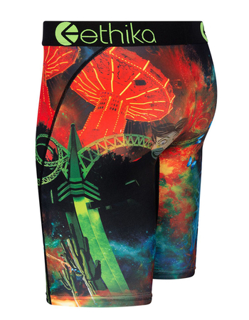Ethika Boxers & Underwear | Tillys