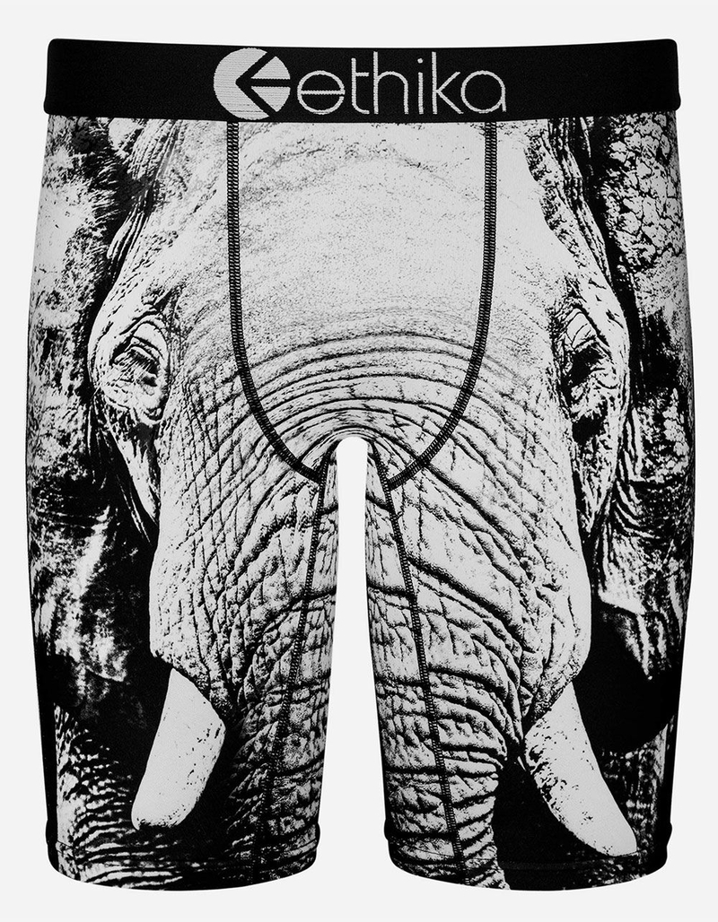 ETHIKA White Elephant Staple Boys Boxer Briefs - BLACK/WHITE - M | Tillys
