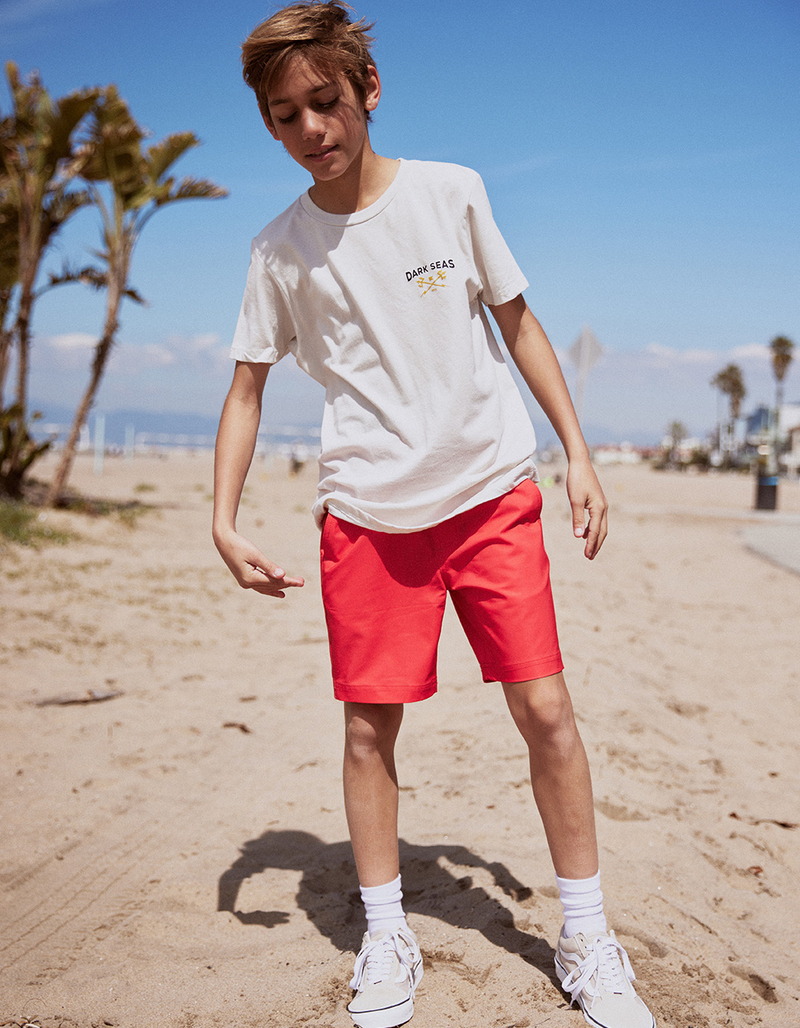 BLUE CROWN Miami Garden Change Boys Swim Shorts - RED - L | Tillys