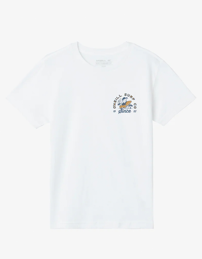 O'NEILL Cooper Boys Tee - WHITE | Tillys