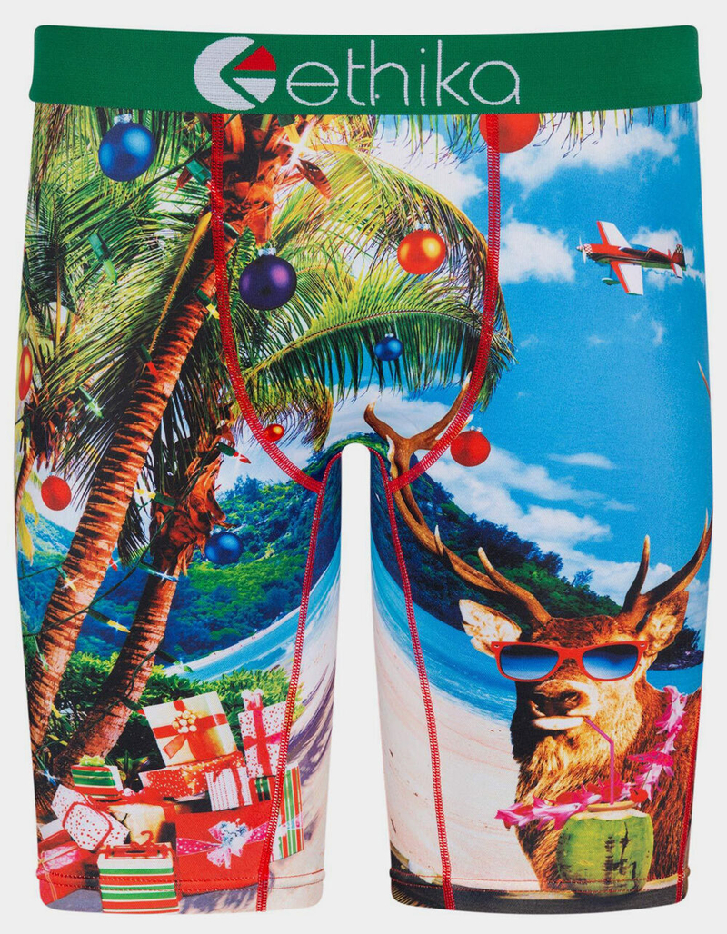 ETHIKA Christmas Vacay Staple Mens Boxer Briefs - MULTI | Tillys