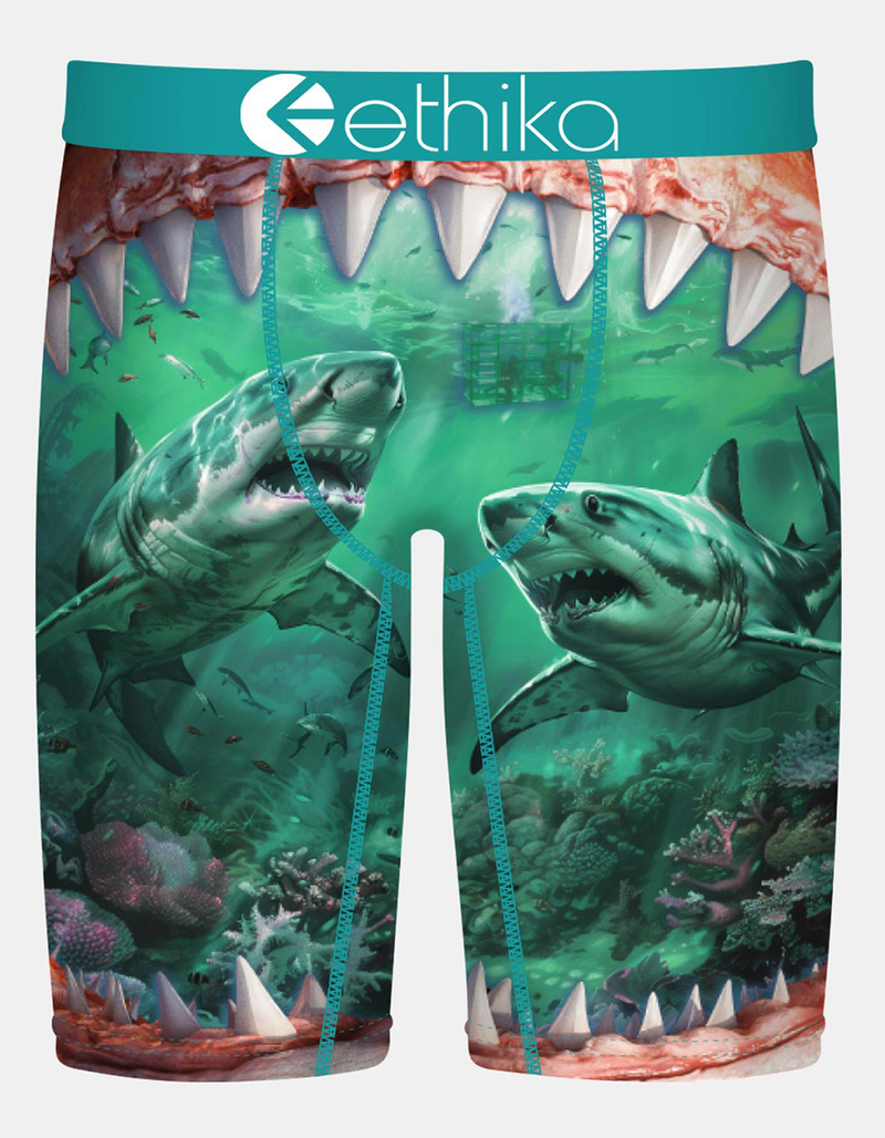ETHIKA Food Chain Staple Boys Boxer Briefs - MULTI | Tillys