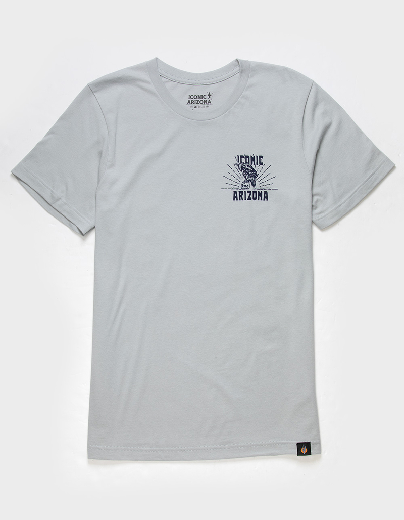 ICONIC ARIZONA Rise Again Mens Tee - GRAY | Tillys
