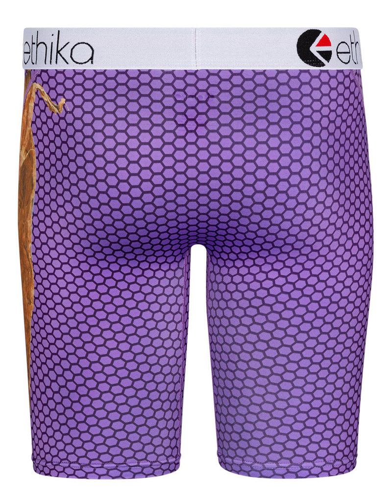 ETHIKA No Smoke Mens Boxer Briefs - MULTI - M | Tillys