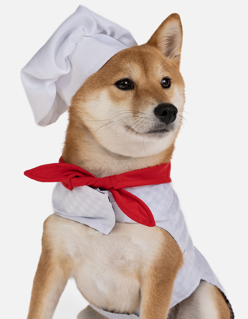 SILVER PAW Chef Costume - WHITE | Tillys