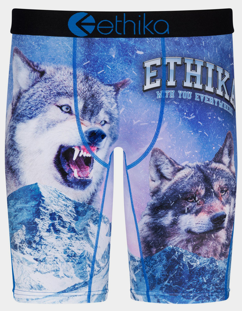 ETHIKA Wolf Pack Mens Boxer Briefs - MULTI | Tillys