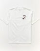 NIKE SB Jagged Mens T-Shirt - WHITE | Tillys