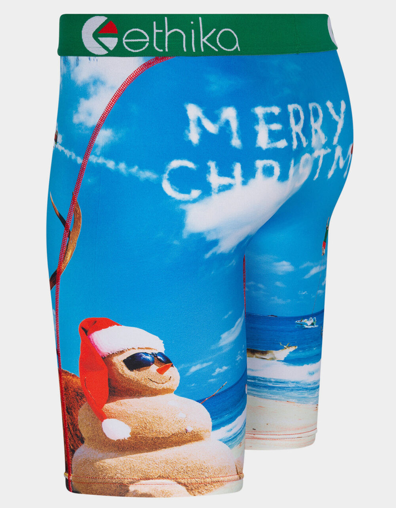 ETHIKA Christmas Vacay Staple Mens Boxer Briefs - MULTI | Tillys