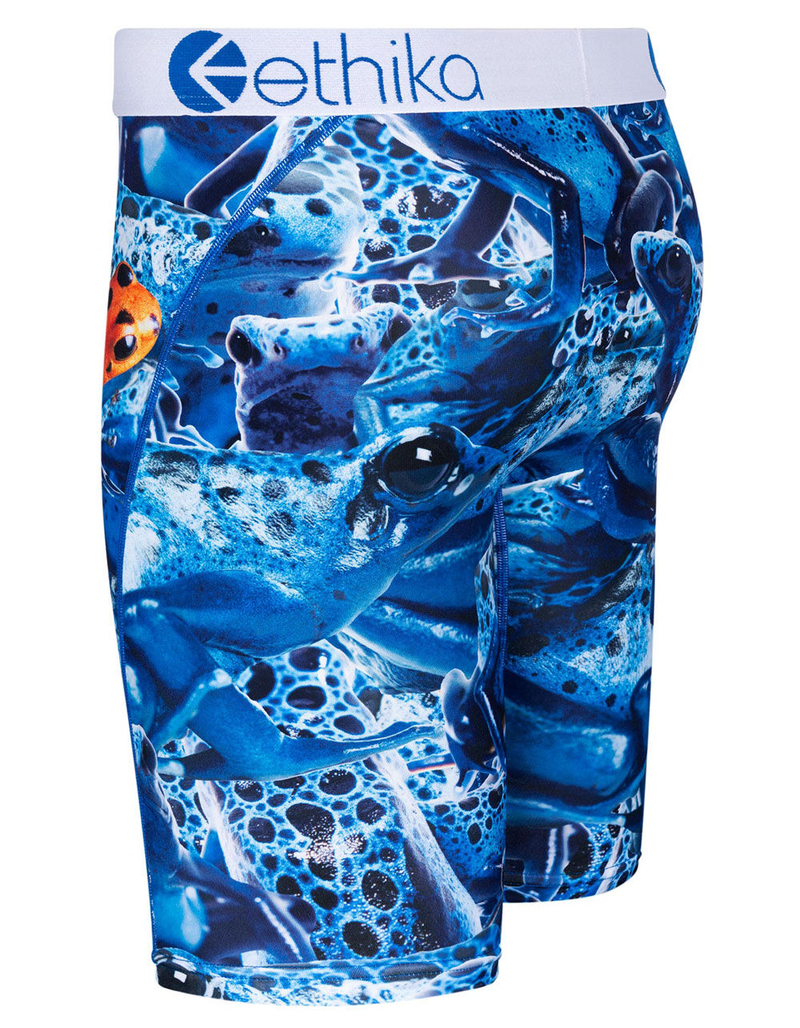 ETHIKA Poison Dart Mens Boxer Briefs - MULTI - XL | Tillys