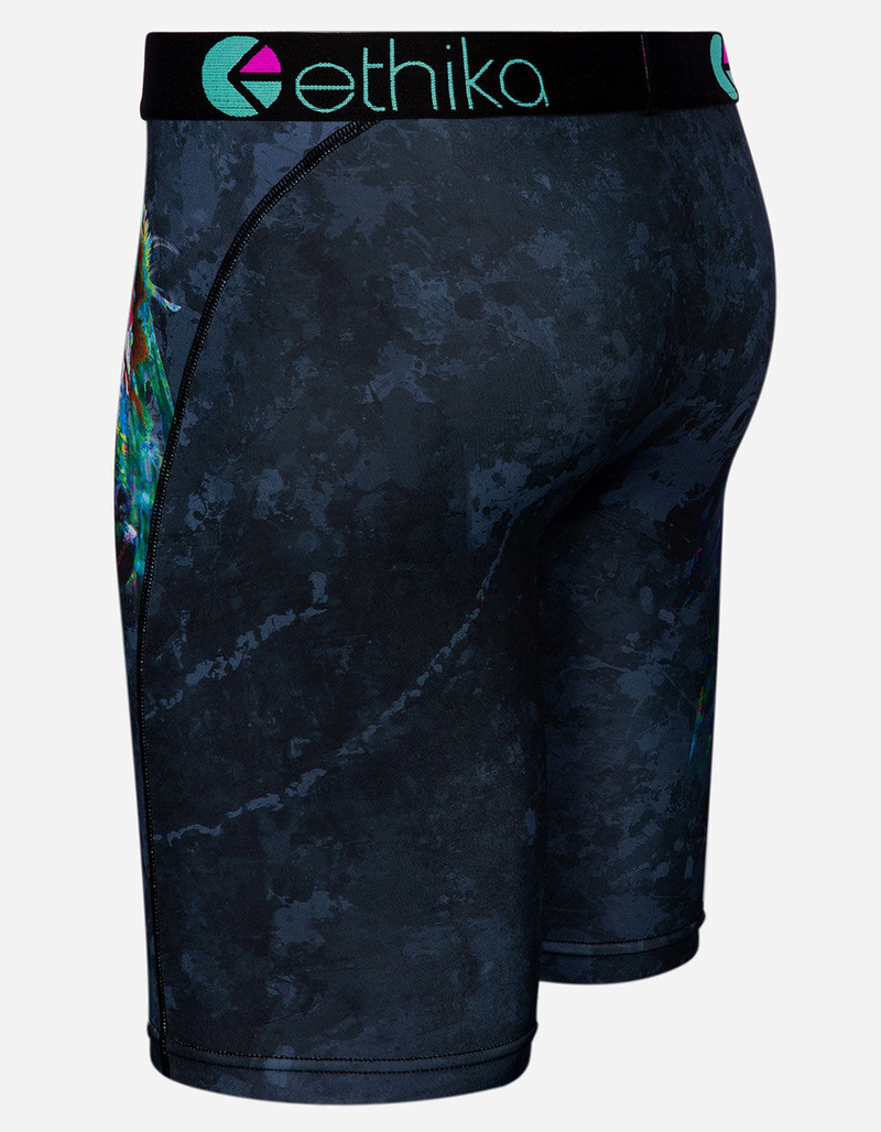 ETHIKA Native Grizzly Staple Mens Boxer Briefs - BLACK COMBO - L | Tillys