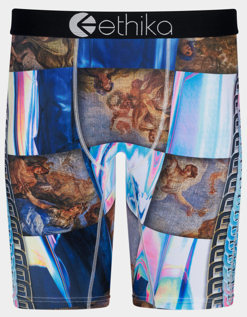 ETHIKA Hol'E Grail Staple Mens Boxer Briefs - MULTI | Tillys