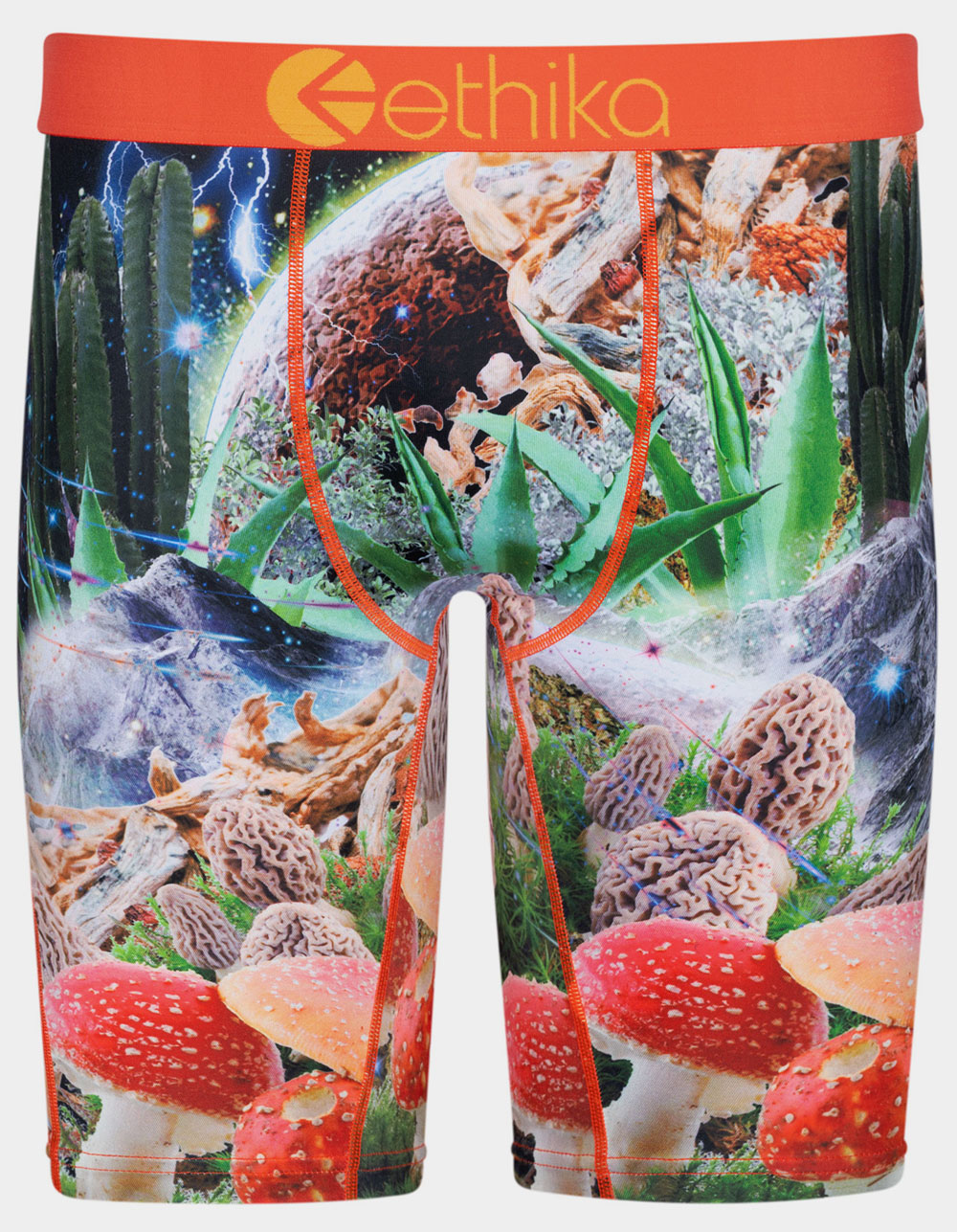 Ethika Boxers & Underwear | Tillys