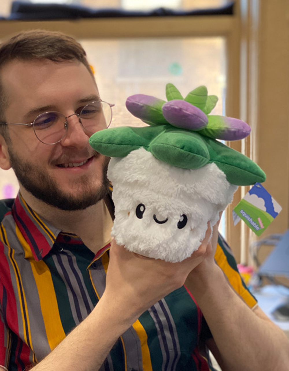 SQUISHABLE Succulent Pillow - DESERT | Tillys