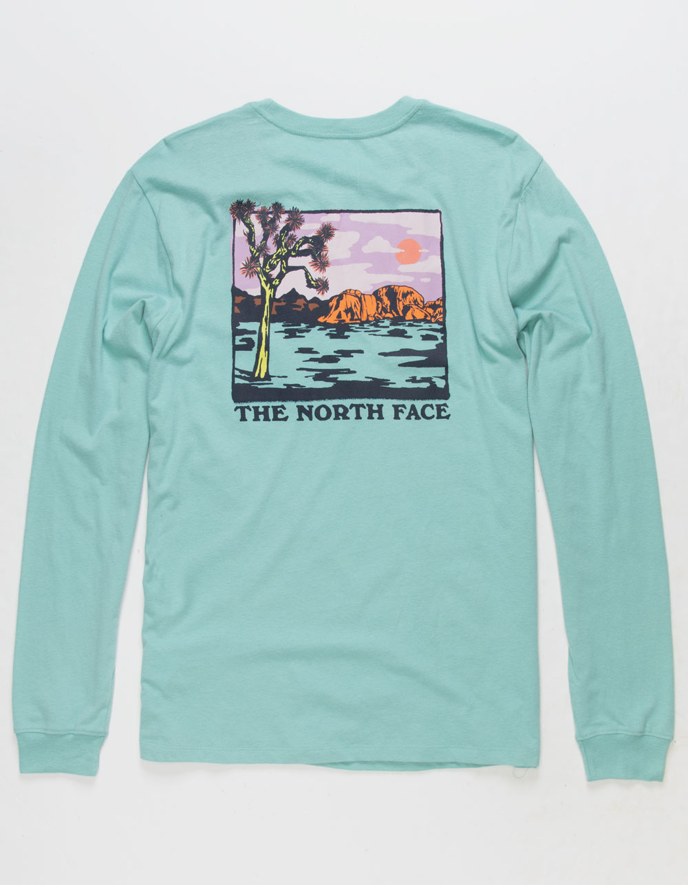 THE NORTH FACE Graphic Injection Mens Tee - LT GREEN | Tillys