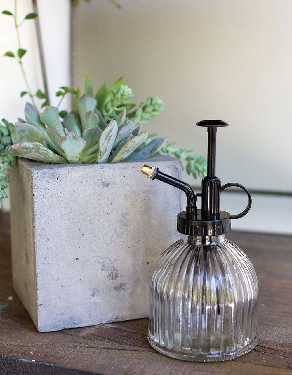 Carlisle Plant Mister - BLACK | Tillys