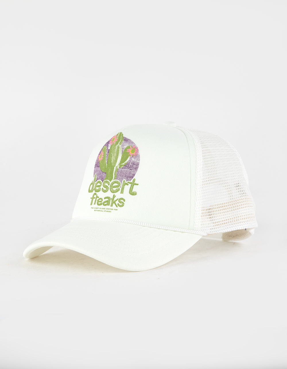 CONEY ISLAND PICNIC Desert Freaks Womens Snapback Hat - WHITE | Tillys