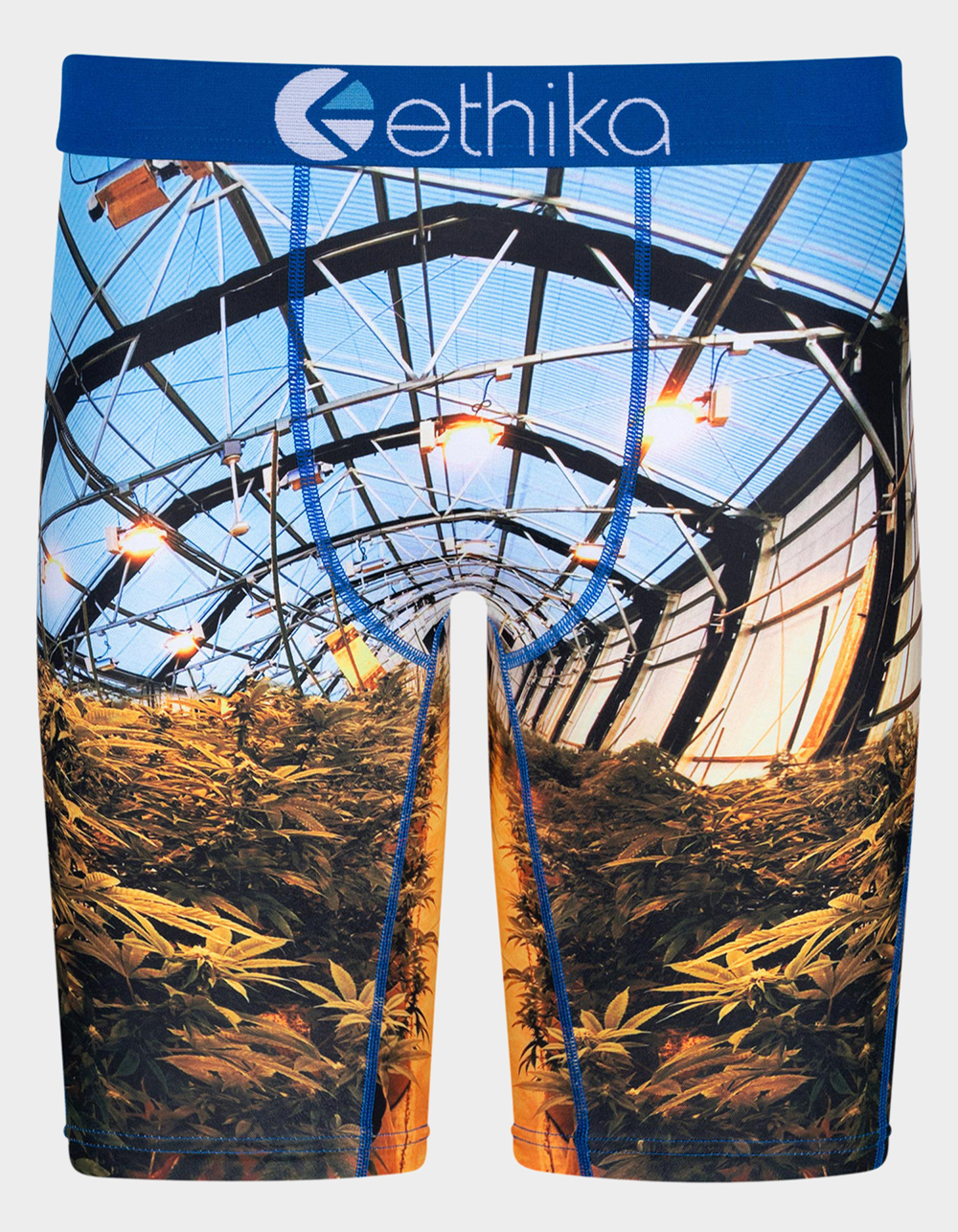 Ethika Boxers & Underwear | Tillys