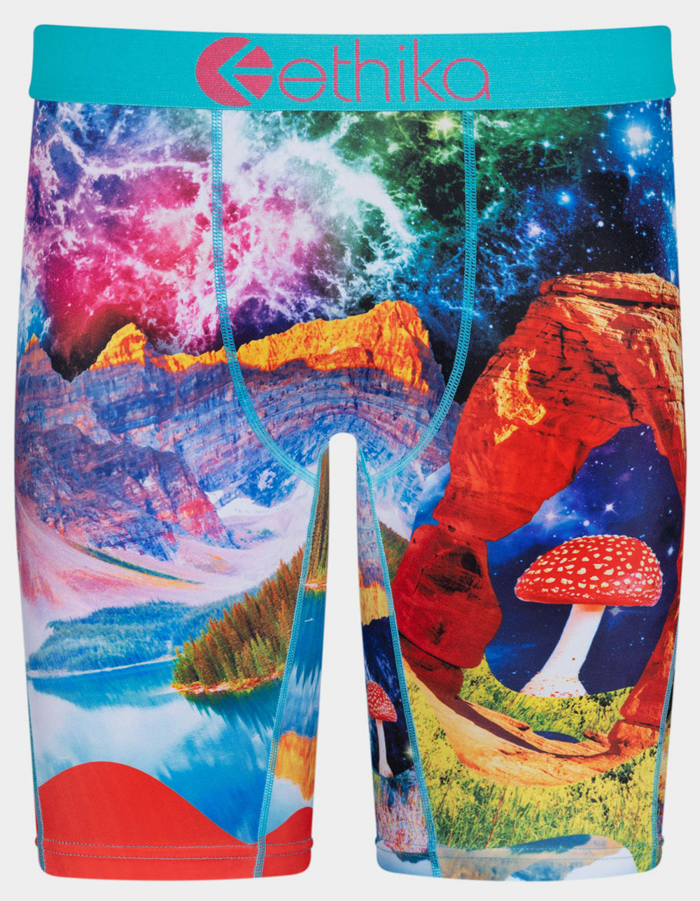 Ethika Boxers & Underwear | Tillys