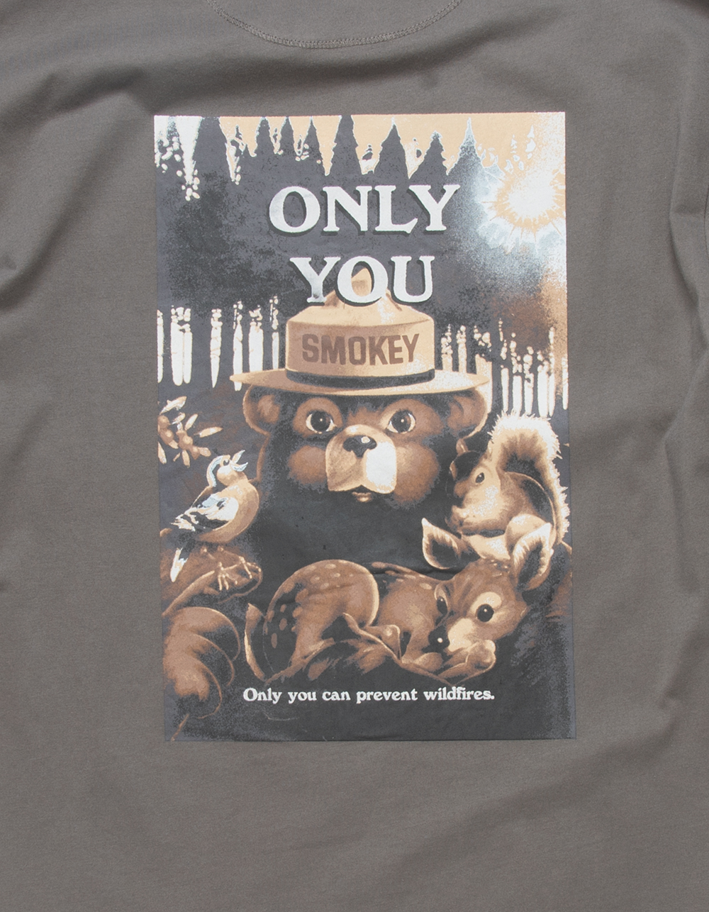 TENTREE Smokey Bear Only You Mens Tee - GRAY | Tillys