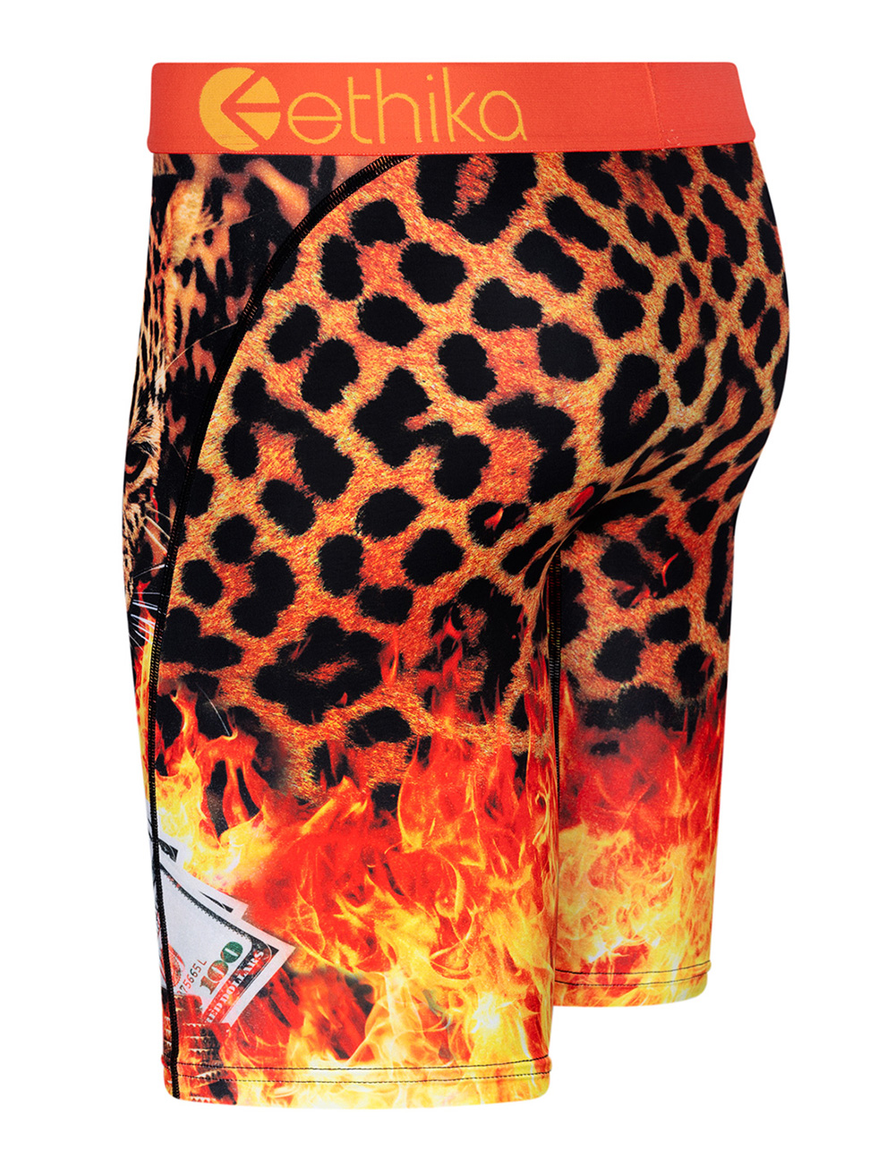 ETHIKA Cheetah Steez Staple Boys Boxer Briefs - MULTI | Tillys