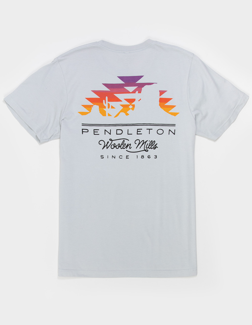 PENDLETON Desert Sunset Mens Tee - GRAY | Tillys