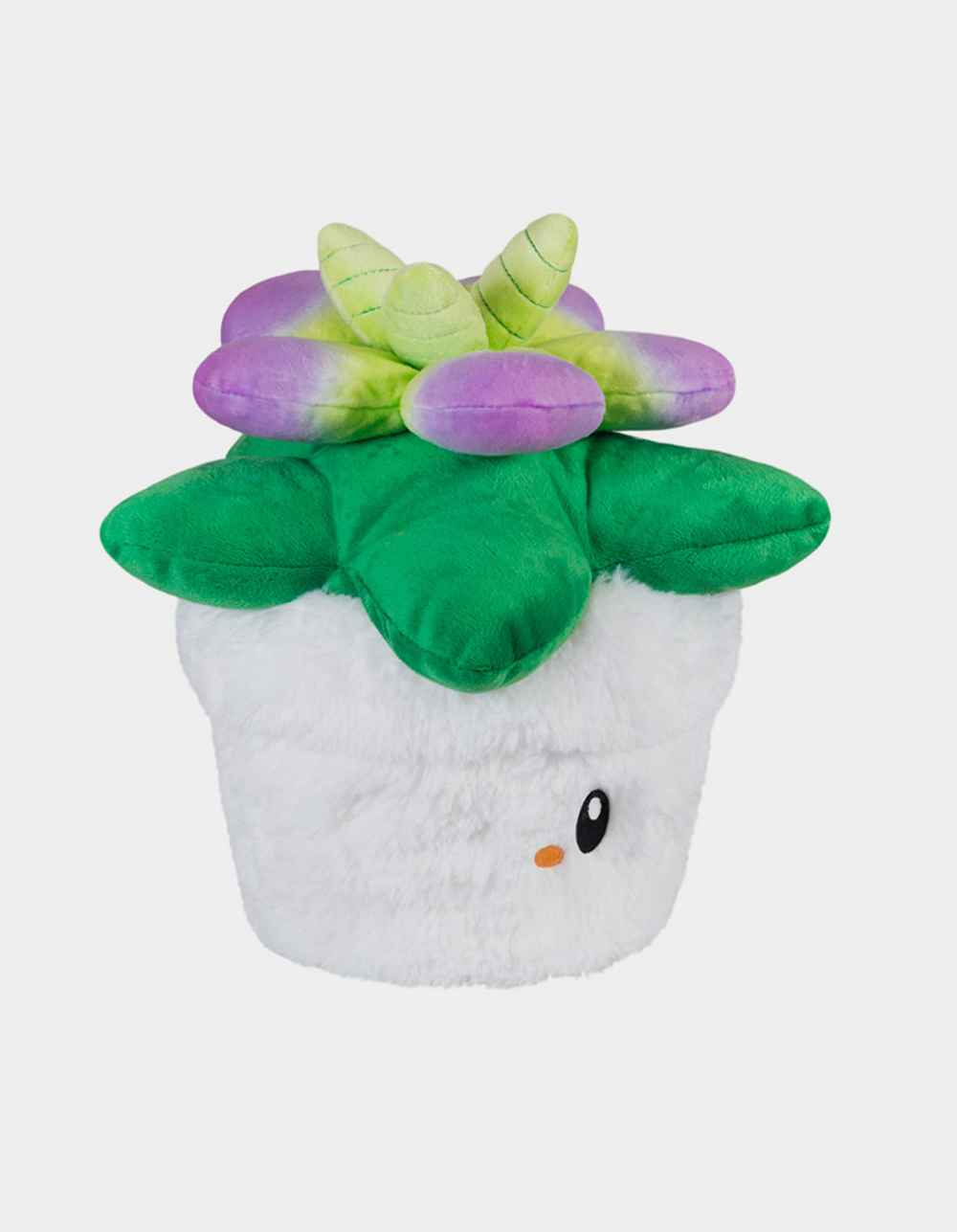 SQUISHABLE Succulent Pillow - DESERT | Tillys