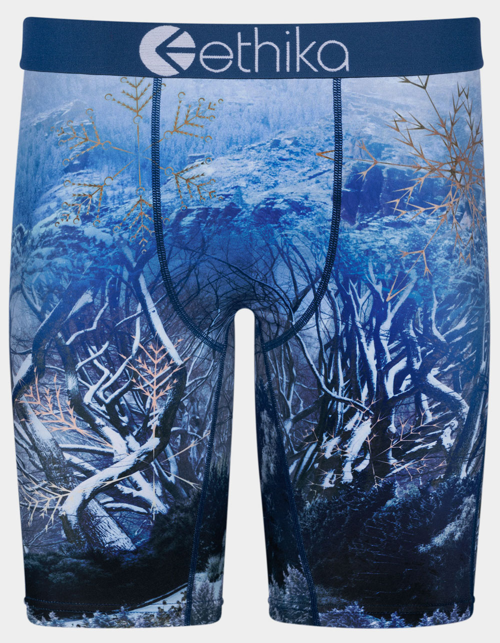 ETHIKA Artic Vibes Mens Staple Boxer Briefs - MULTI | Tillys