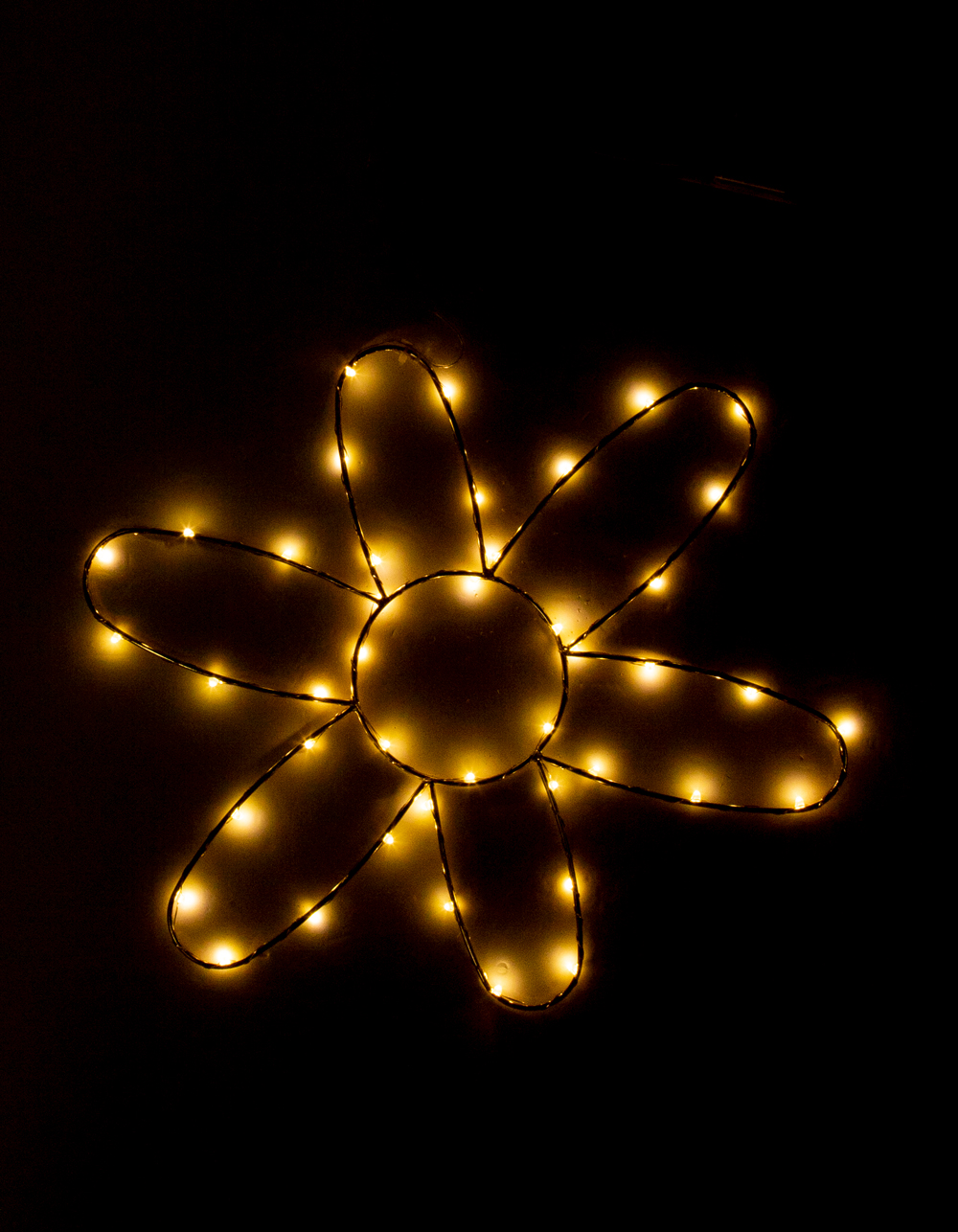 Decorative Lighting | Tillys