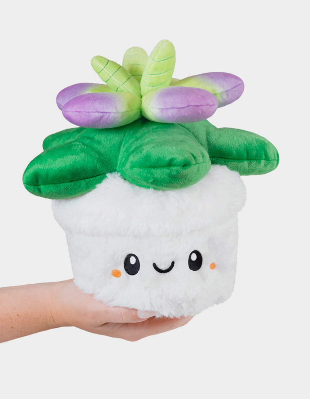 SQUISHABLE Succulent Pillow - DESERT | Tillys