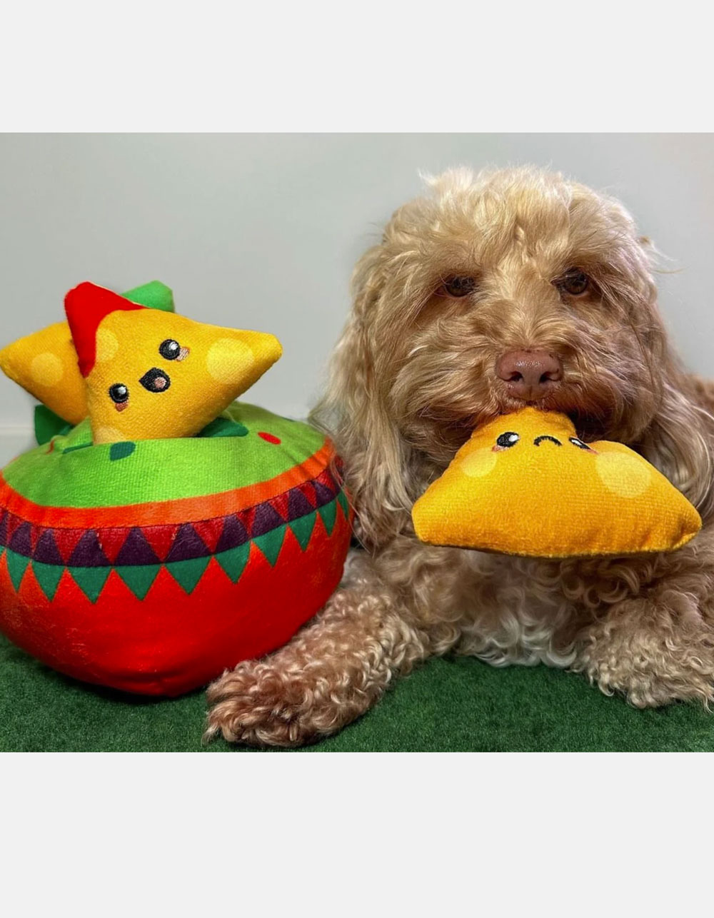LOVE FROM BETTY Fiesta Chewsday Nachos Plush Dog Toy - MULTI | Tillys