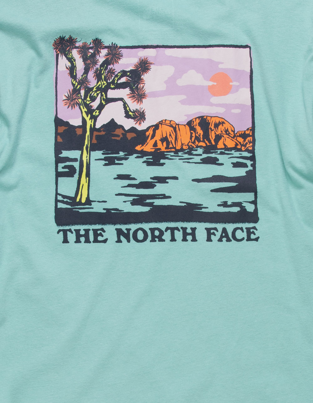 THE NORTH FACE Graphic Injection Mens Tee - LT GREEN | Tillys
