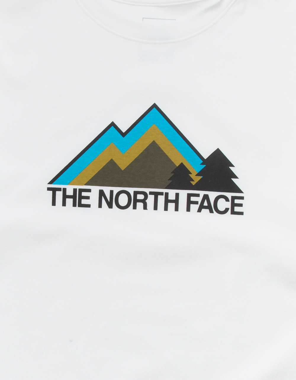 THE NORTH FACE Graphic Boys Tee - WHITE/MULTI | Tillys