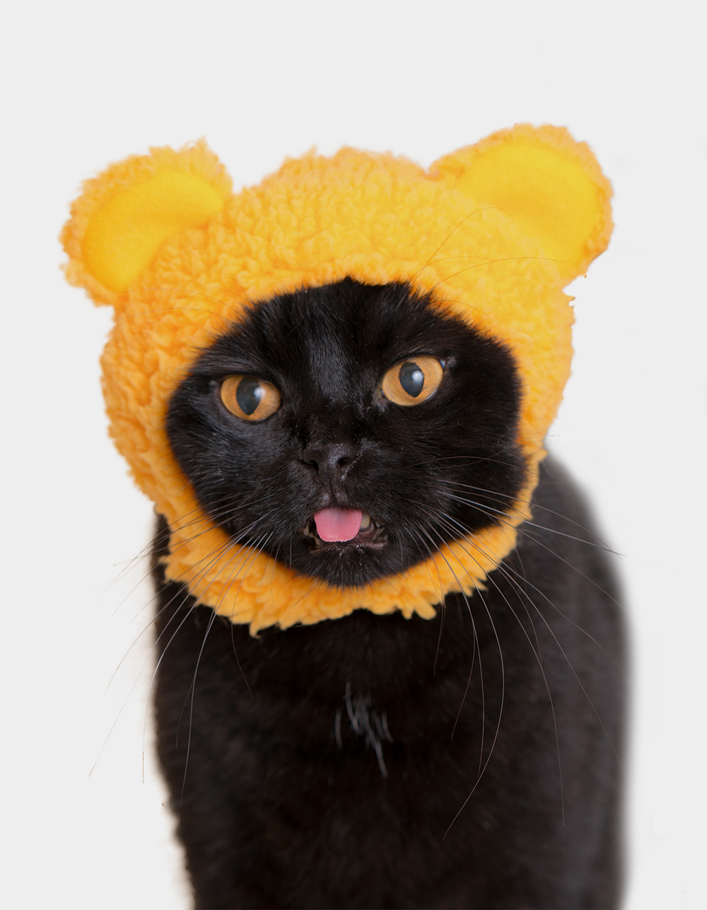 Cat Cap Blind Box - Bear - MULTI | Tillys