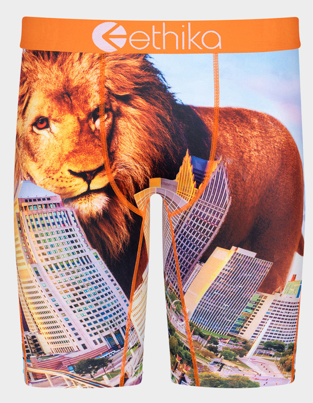 Boy's Ethika Boxers | Tillys