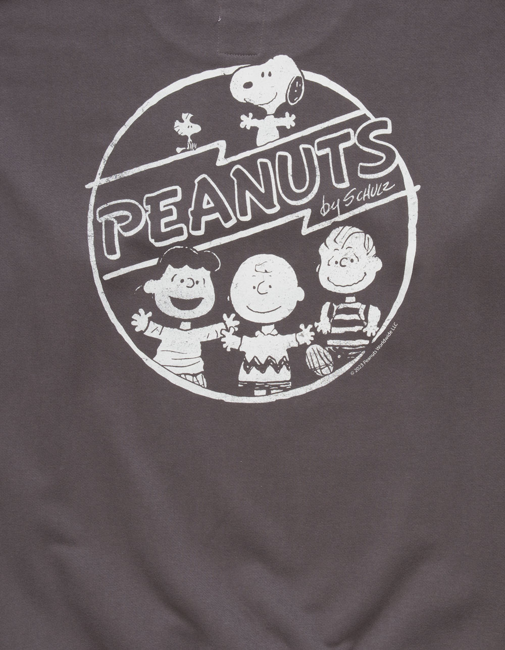 RSQ x Peanuts Mens Snoopy Squad Crewneck Sweatshirt - CHARCOAL | Tillys