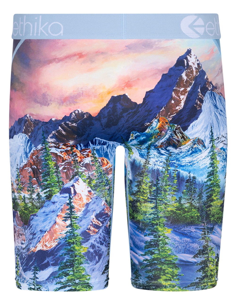 ETHIKA Bomber Abominable Staple Mens Boxer Briefs - MULTI | Tillys